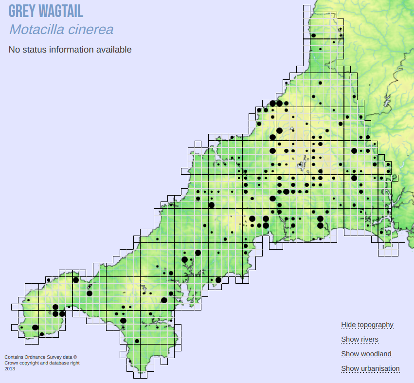 2024 Dipper and Grey Wagtail survey - Cornwall Birds (CBWPS)